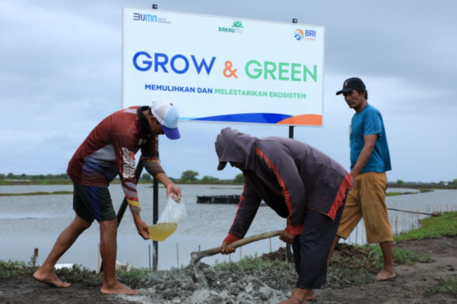 BRI Menanam - Grow & Green, Upaya BRI Bantu Ekosistem Lingkungan dan ...